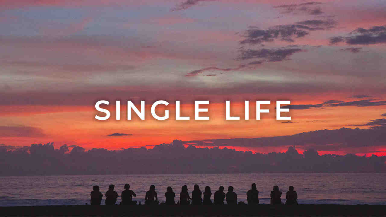 Loving The Single Life