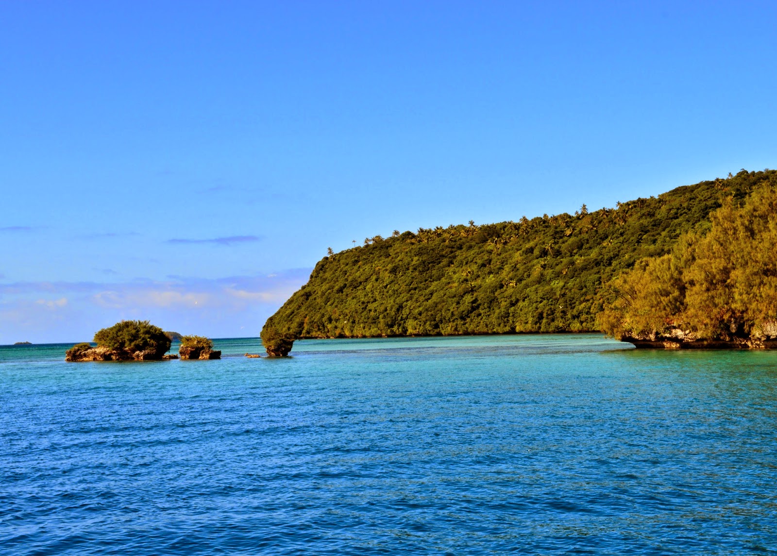 Mazu Adventures: Vava'u Tonga, June 19 - July 8, 2014