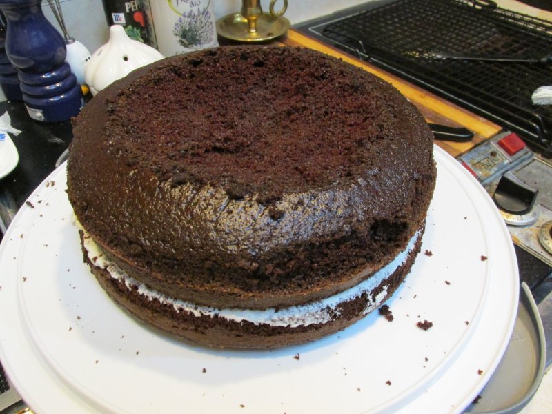 Antijenic Drift: Red Blood Cell Cake