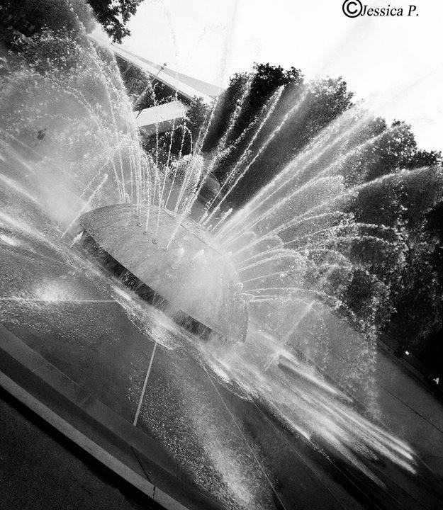 Cnossen Photography: My Random Photography