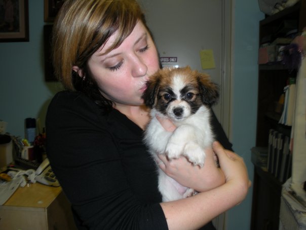 Small Dog Rescue of Minnesota - Rescue and Adoption Blog: November 2011