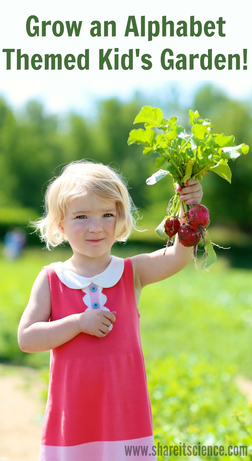 Share it! Science : Grow an Alphabet Themed Kid's Garden!
