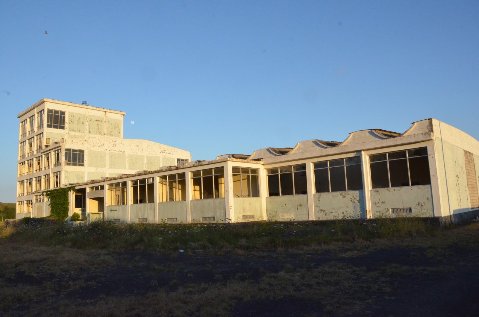 açores a cair: PRONICOL