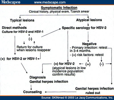 Genital herpes - Sexually transmitted diseases