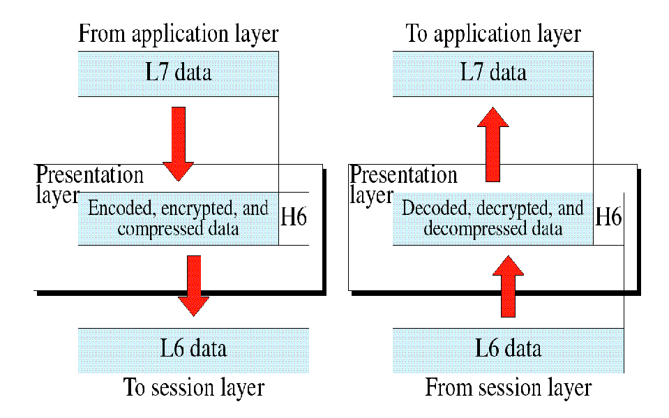 Protocol & OSI model: Presentation layer