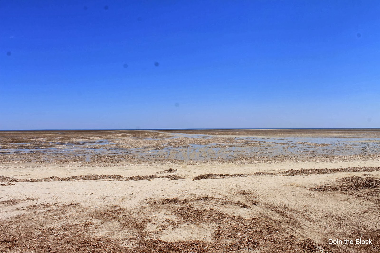 Doin' The Block: Day 58 - 2/2/14 – Port Parham SA