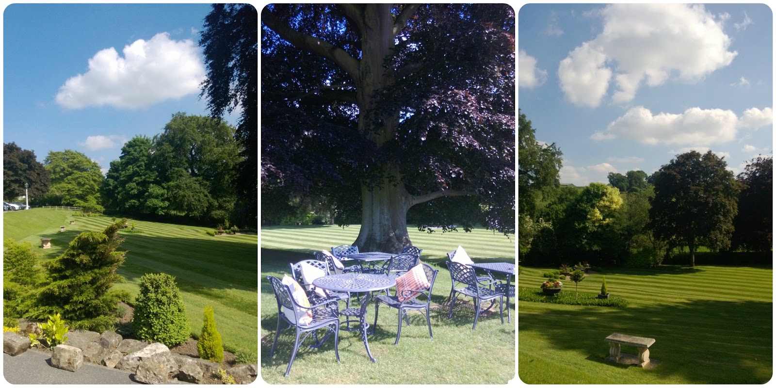 A Four Star Ladies Lunch at Wentbridge House | Red Rose Mummy