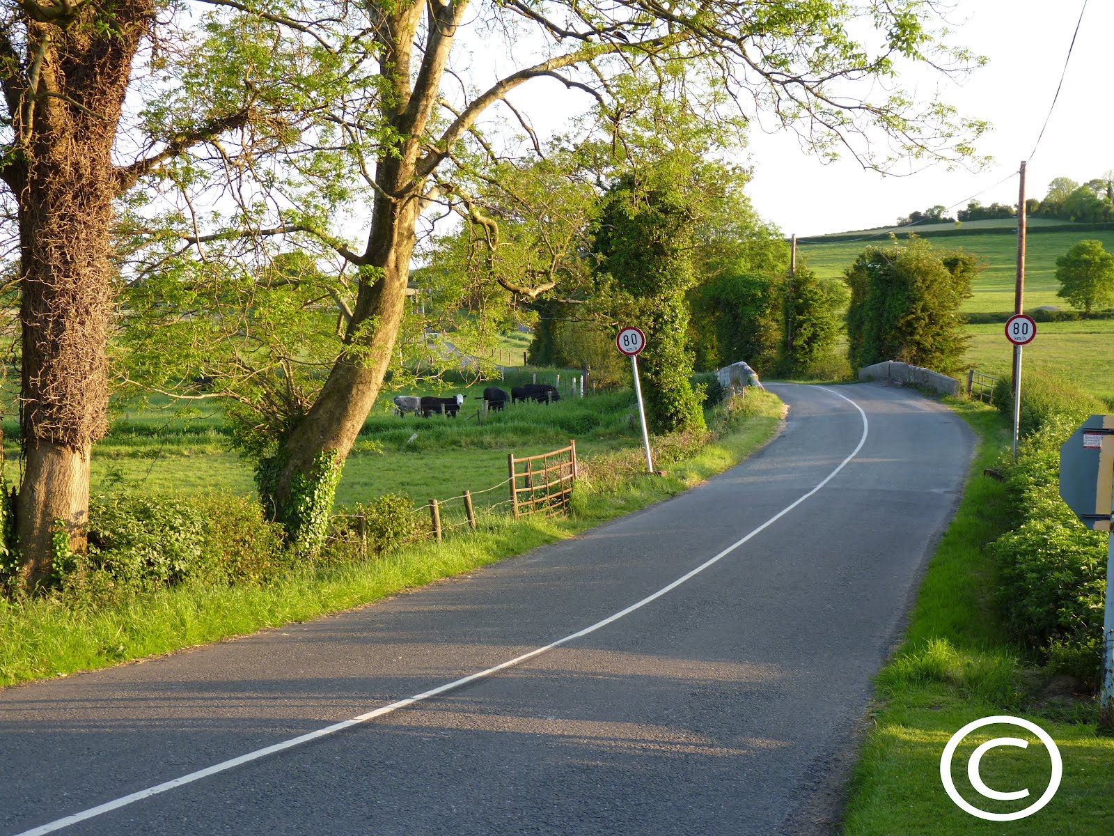 Mount Lucas Daingean Offaly Ireland: 2012