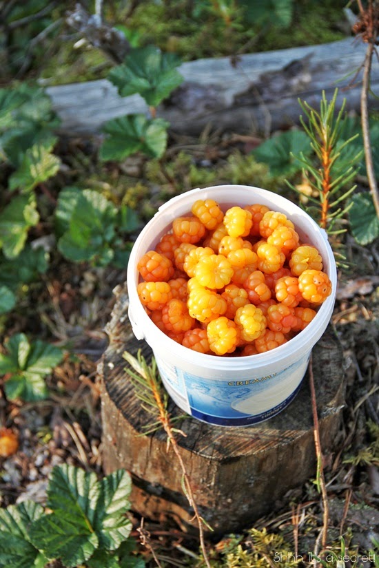 Shhh, it's a secret!: Lakkametsällä