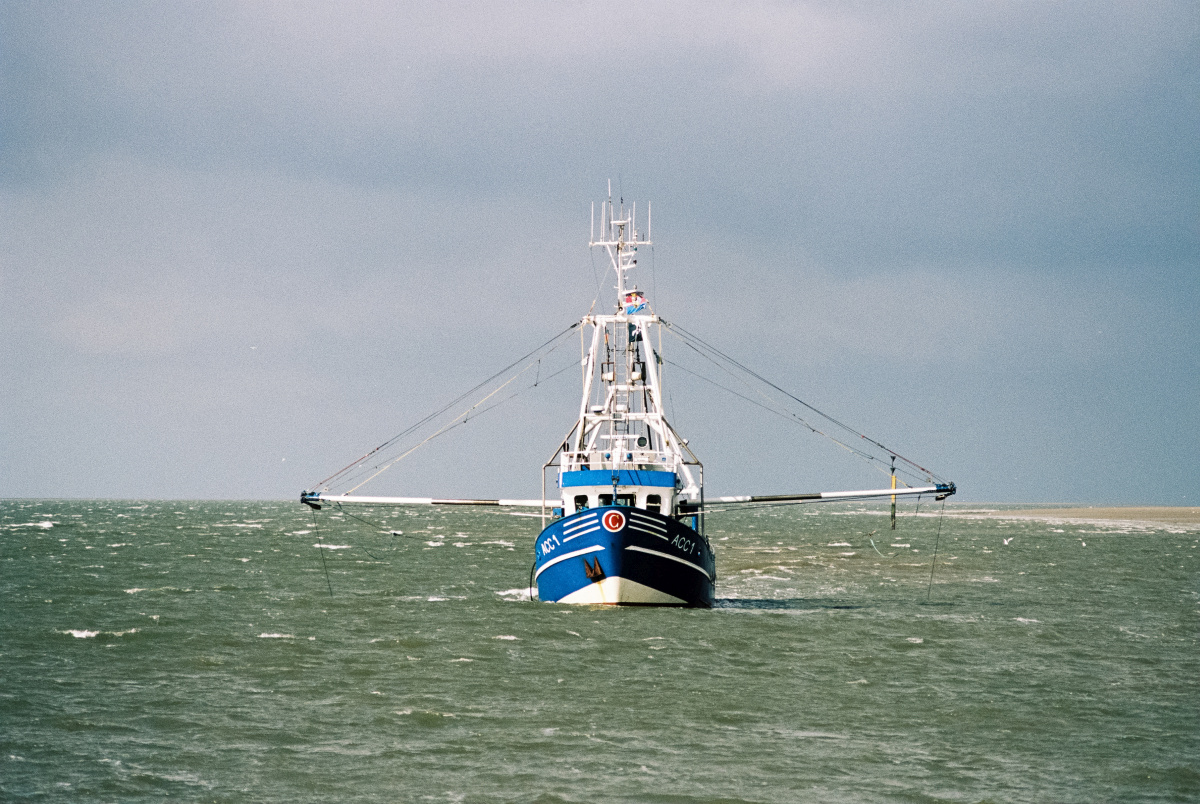 Fotografie auf Film: Seehundbänke vor Baltrum, Fischer in der Accumer ...