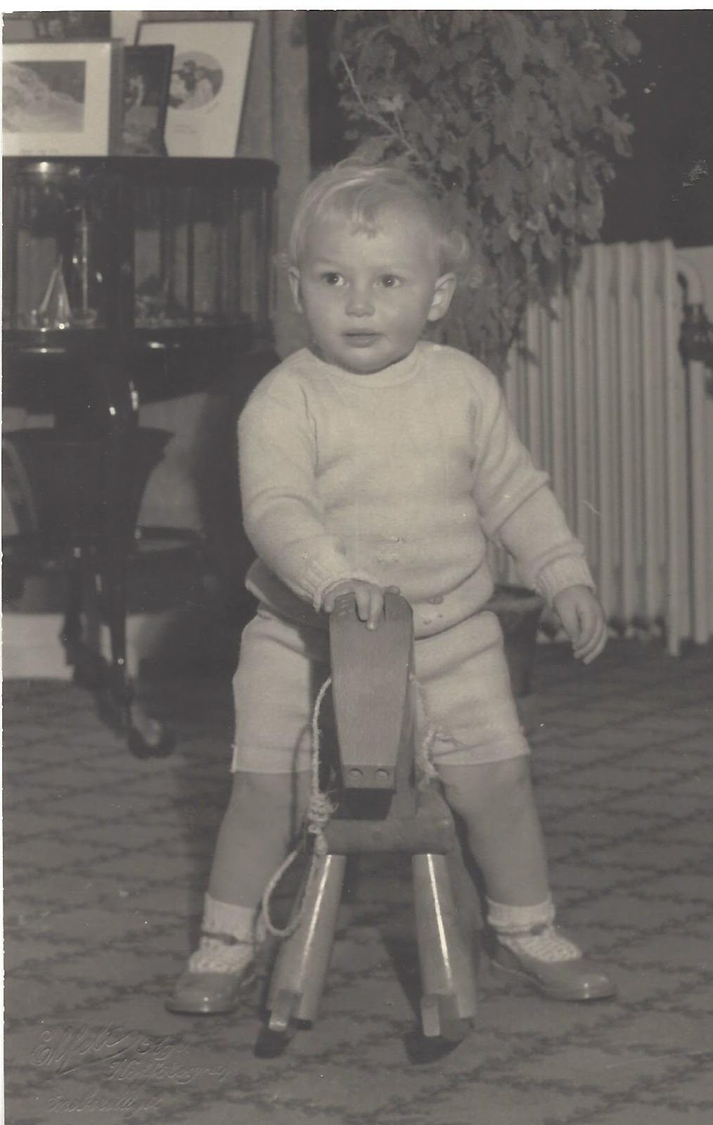 Royal Musings: Frederik IX new king of Denmark