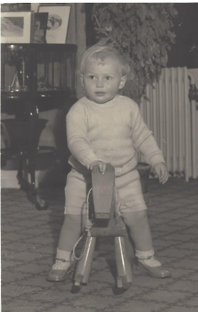 Royal Musings: Frederik IX new king of Denmark