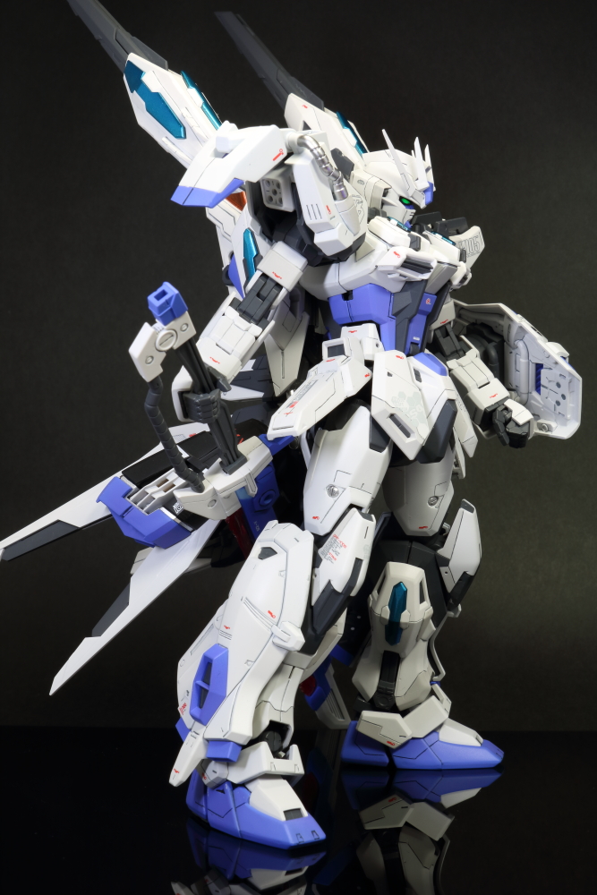 GUNDAM GUY: L.T.W.T. NEO STRIKE GUNDAM - Custom Build