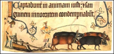 Medieval News: How the heavy plough changed the world