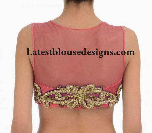 Transparent Net Back Blouse | Latest Blouse Designs
