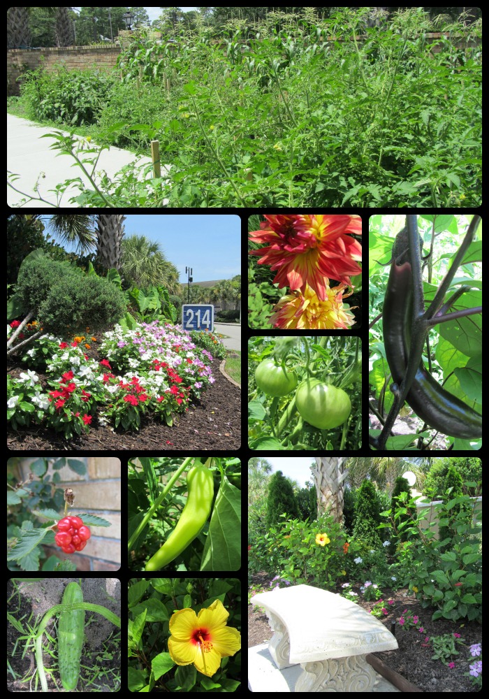 Plantation Resort Insider: Plantation Resort Features: Garden Update ...