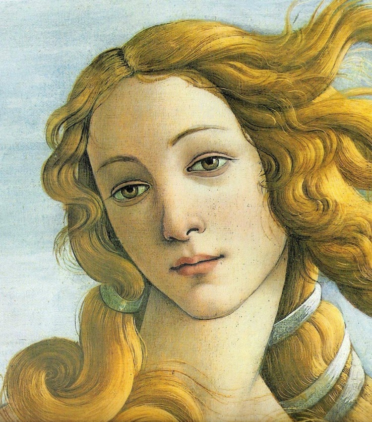 Forum Gigurrorum: Personaxes: Simonetta Vespucci