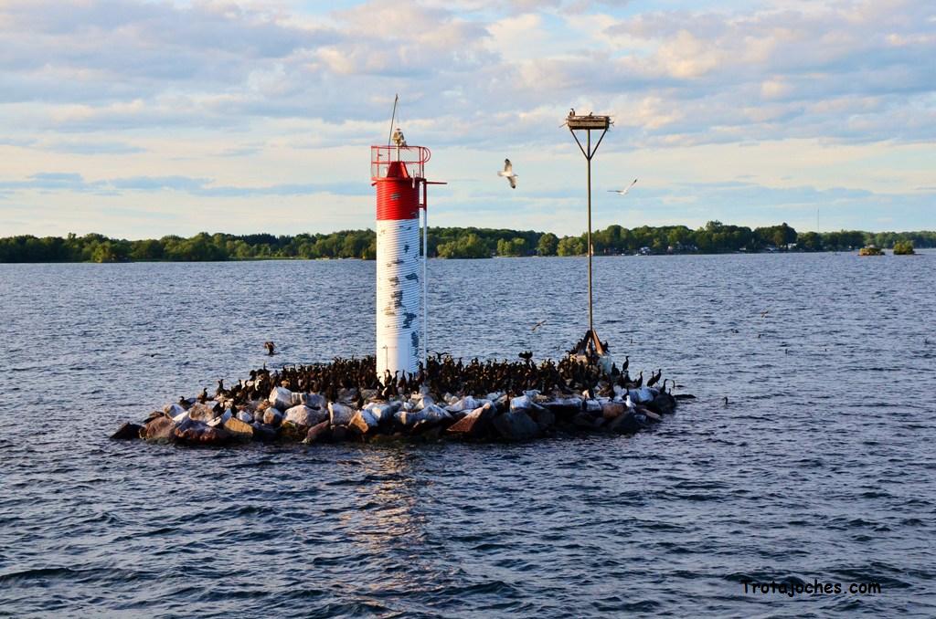 Información para realizar un crucero por las Mil Islas en Canadá ...