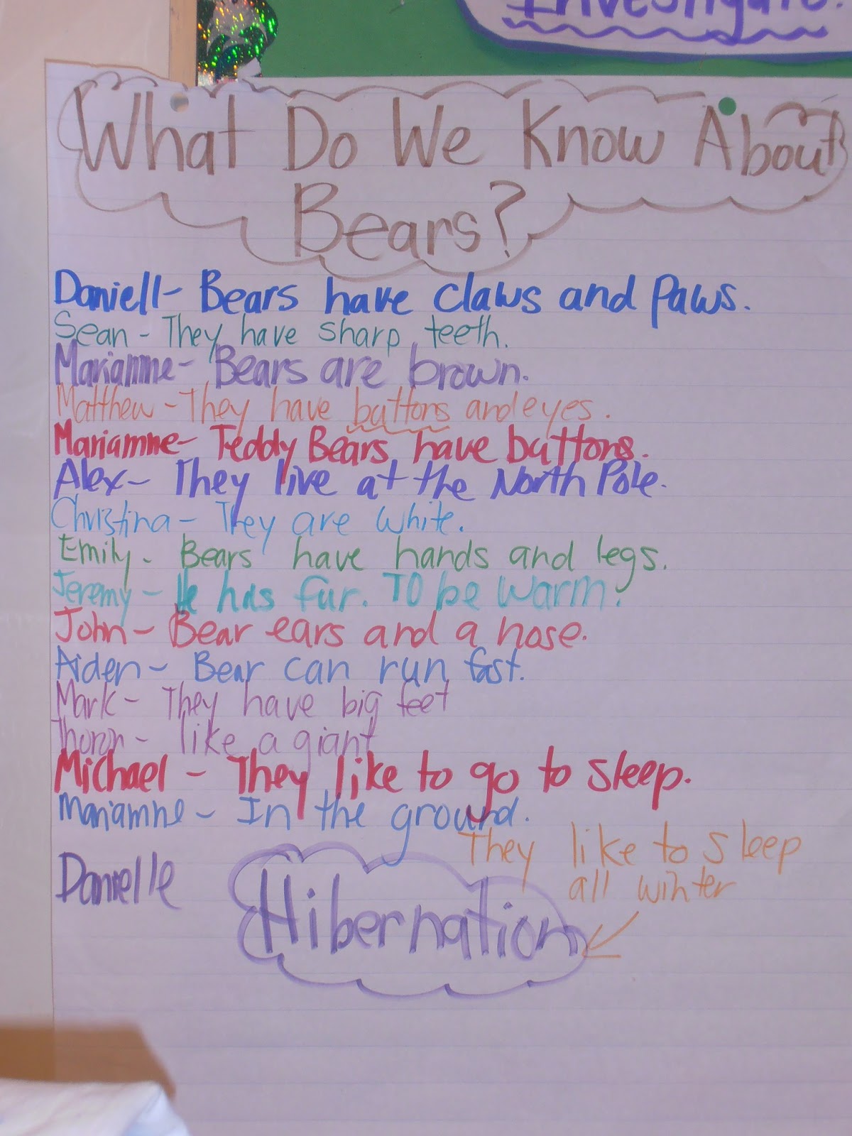 Kindergarten Korner : Bear Inquiry
