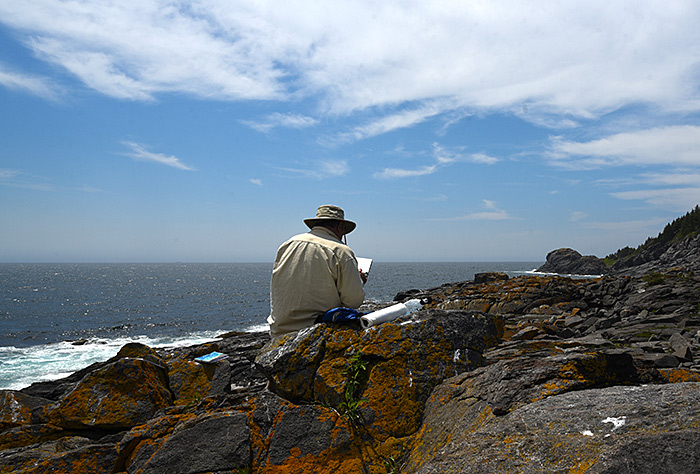 The Art of Bruce: Sea Spray Gull Cove