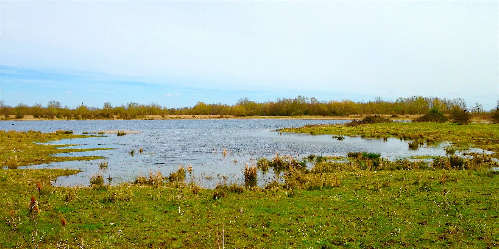 Cambridgeshire walks: Needingworth Nature Reserve & River Ouse