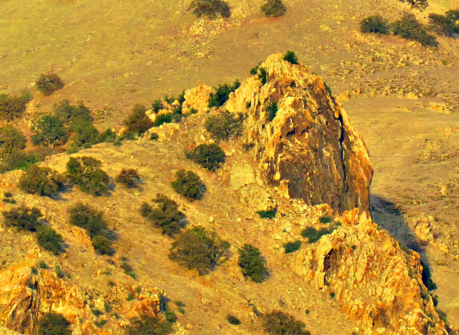 Adventures of a Vagabond Volunteer: Meet the Sutter Buttes