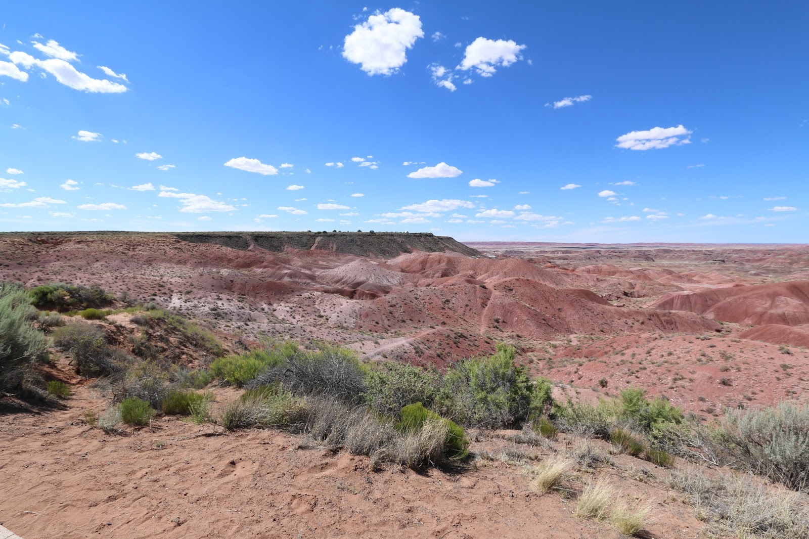 Les Voyages de Durandale: PETRIFIED FOREST, PAINTED DESERT, New Mexico