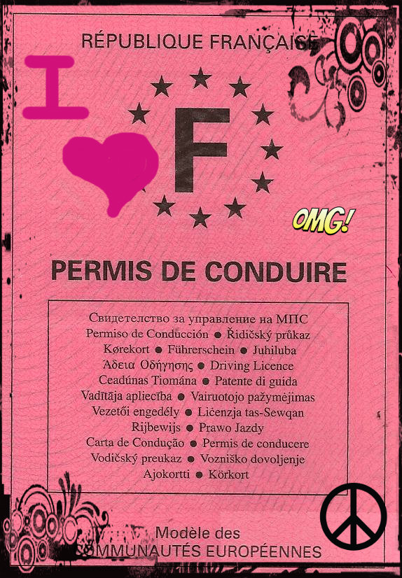 Expat with Kids in Paris: How to obtain a French driver's licence