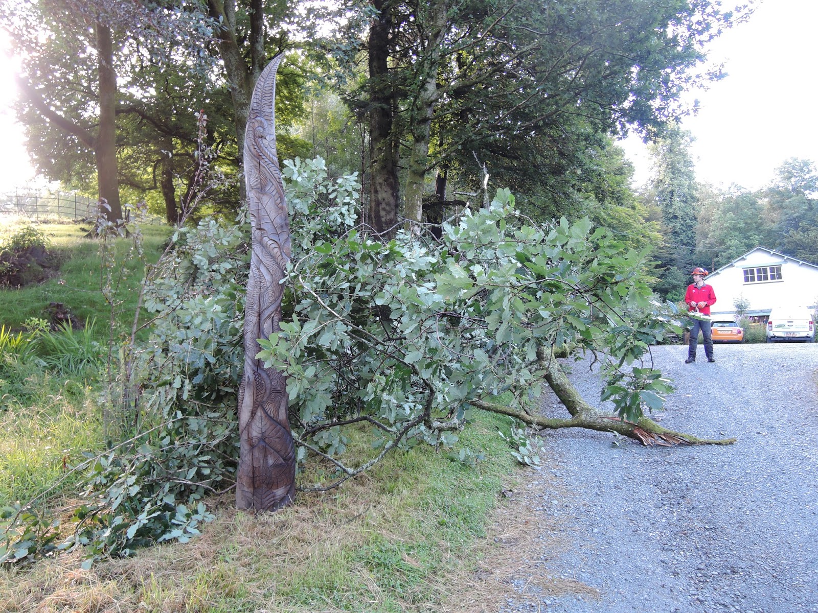 Central and East Lakes Rangers: Summer Branch Drop.