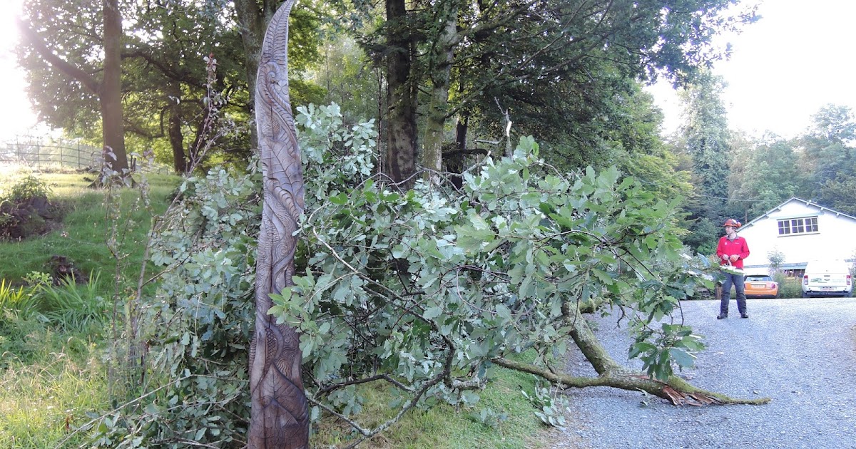 Central and East Lakes Rangers: Summer Branch Drop.