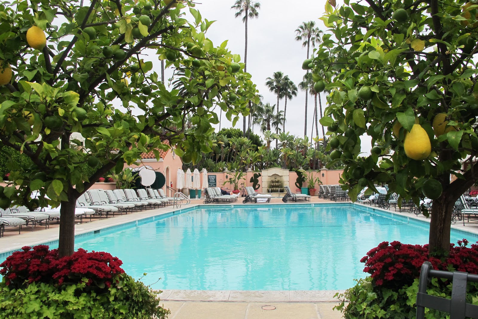 Out and About--the Beverly Hills Hotel | GlamAmor