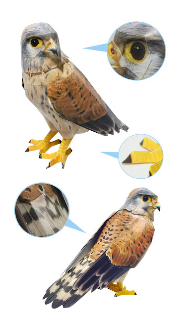 Paper craft: Kestrel - Paper crafted origami