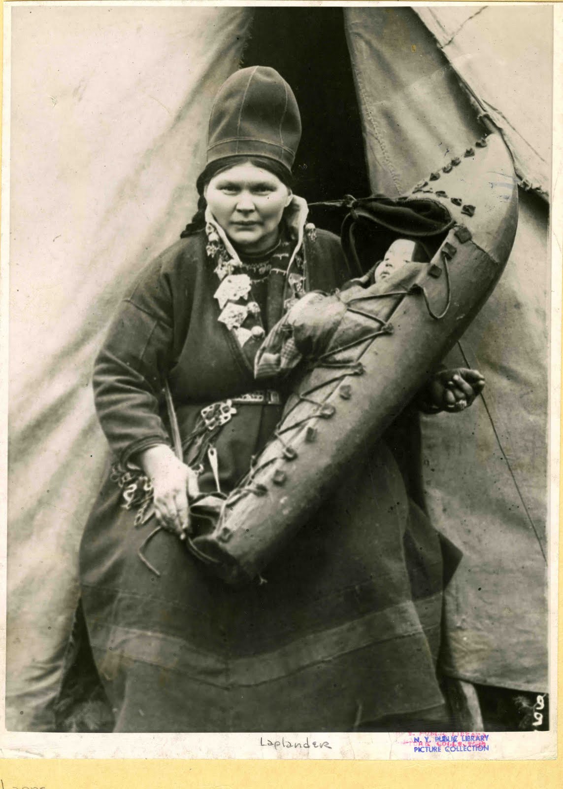 A is for Aye-Aye: An Abecedarian Adventure: A Looming Laplander Guards ...