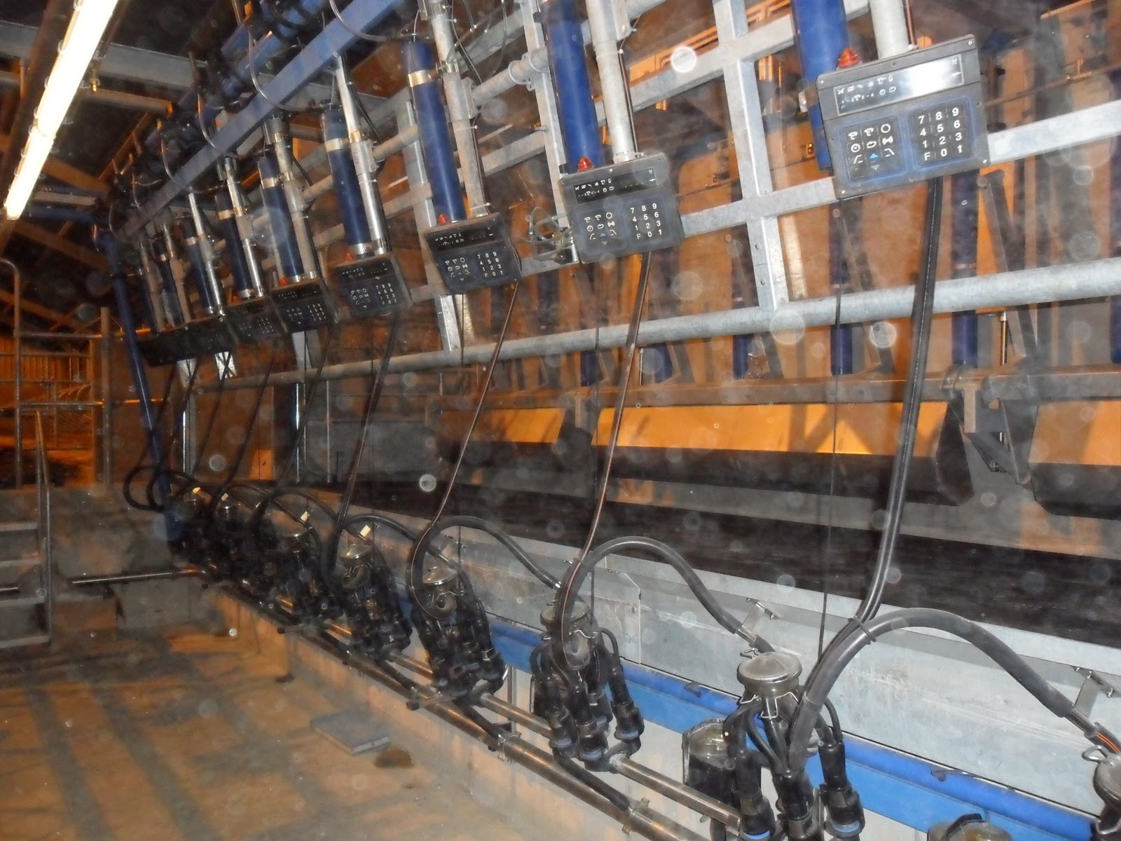 Bouwen in Baflo: november 2011