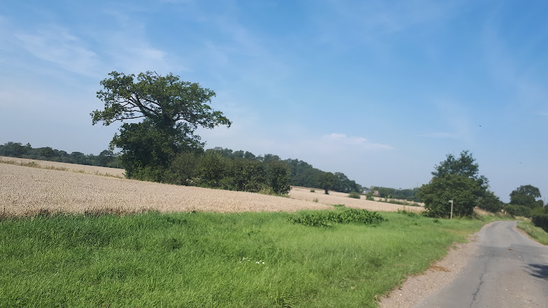 Saxmundham to Rendham Circular Walk ~ Griffmonsters Great Walks