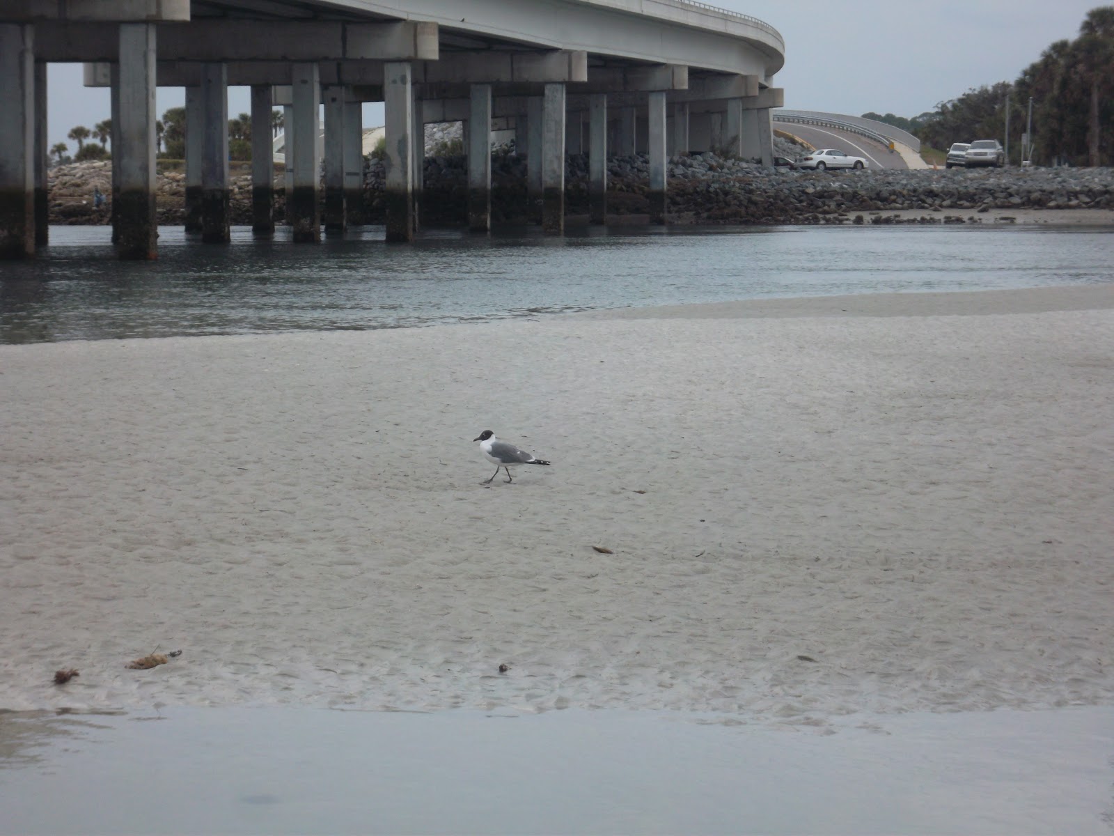 A Southern Affair at Home: Fort George Inlet at Talbot Islands Florida ...