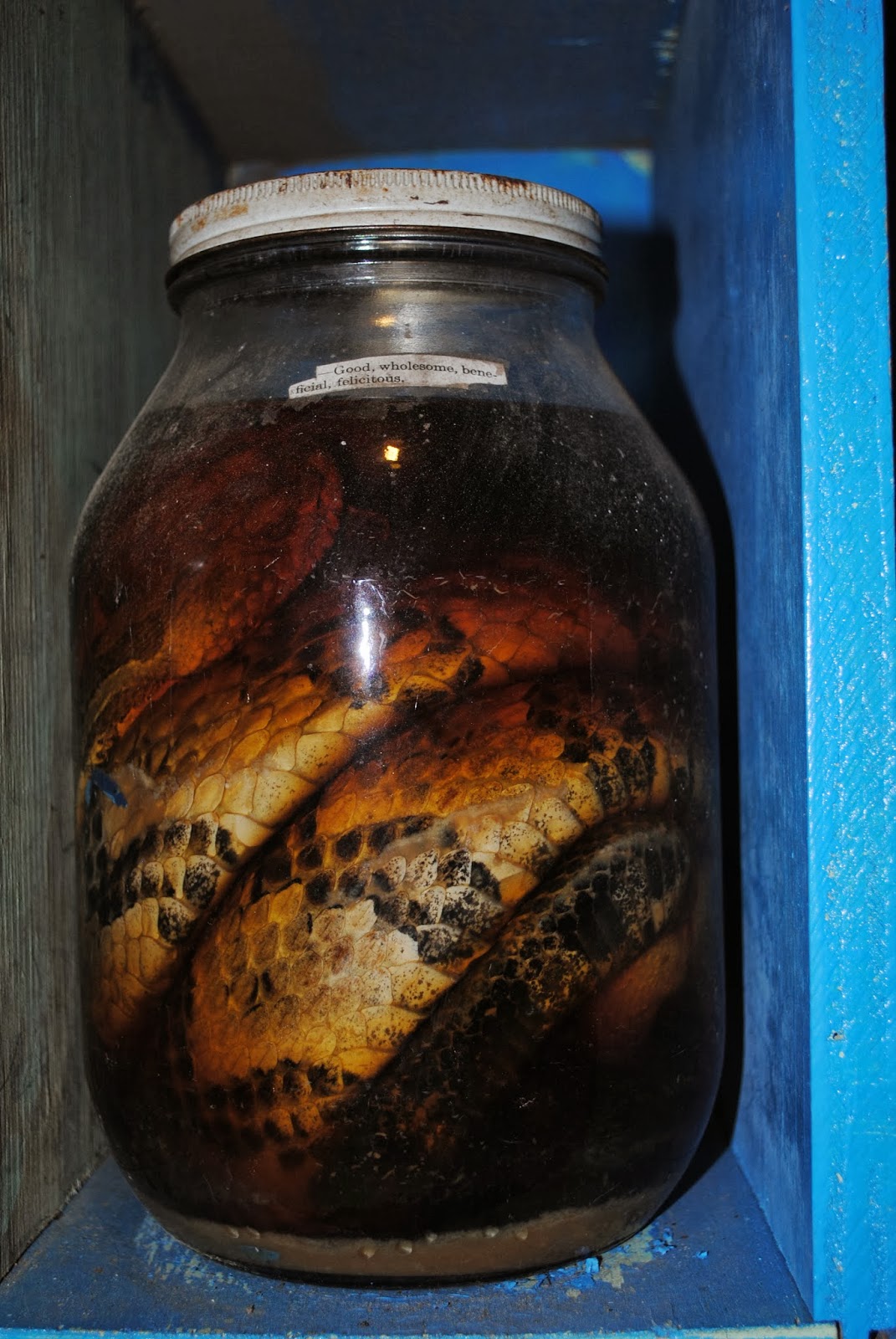 The Carpetbagger: The Alabama Museum of Wonder