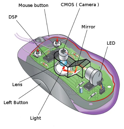 Computer Mouse Parts Diagram