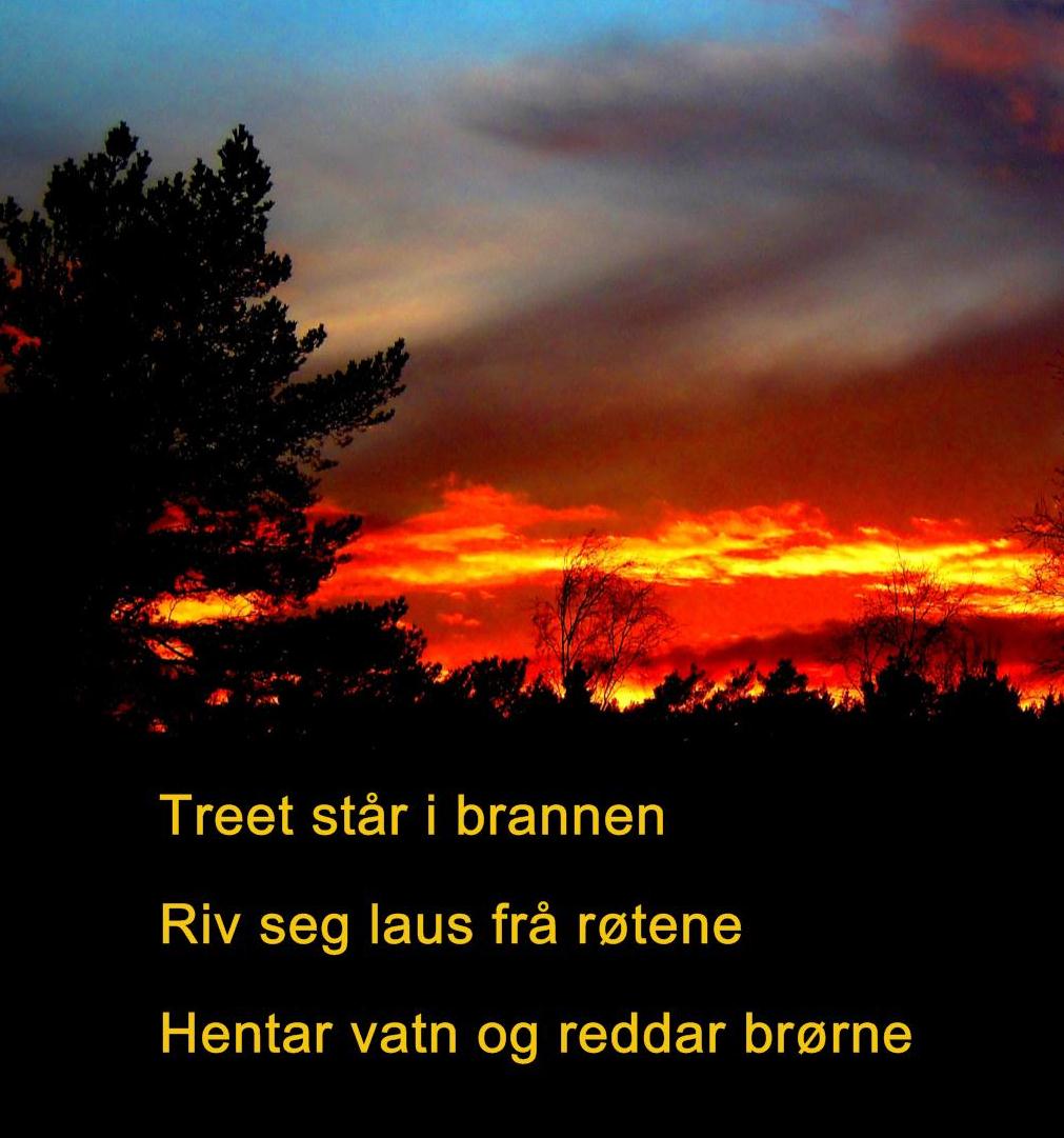 Skuledagboka: Dikt for dagen: Treet