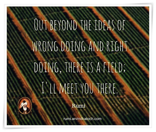Rumi Quote with Meaning Image (Out beyond the ideas of wrong doing and ...