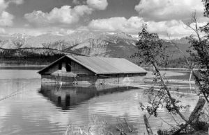 on target shooter nz: Aircraft Carriers Part 2 - How About Frozen ...