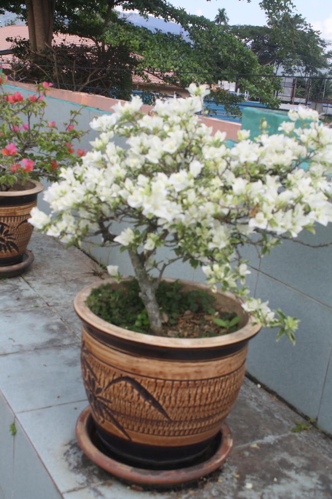 Pasu Seramik Antik & Bunga Kertas Anggun