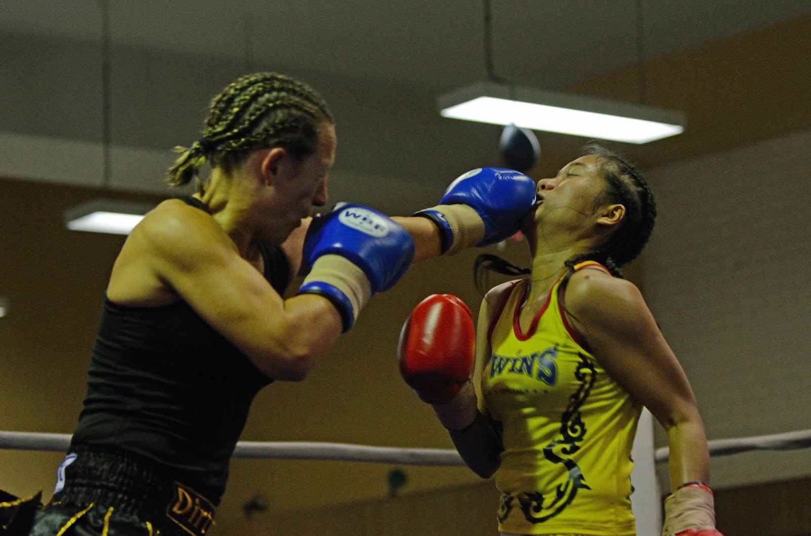 Diana Prazak - Alchetron, The Free Social Encyclopedia