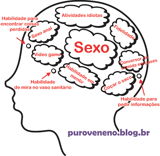 COMENDO DE CONCHA: CABEÇA DE UM HOMEM!