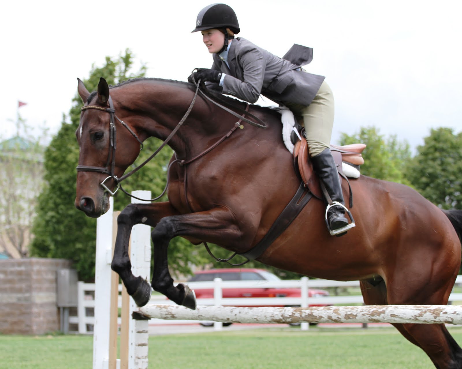 Enjoy the Ride: Shannon's Horse Show Routine