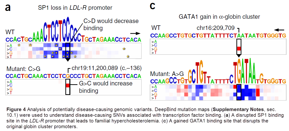 Sciency Stuff: Motif Discovery for DNA- and RNA-binding Proteins by ...