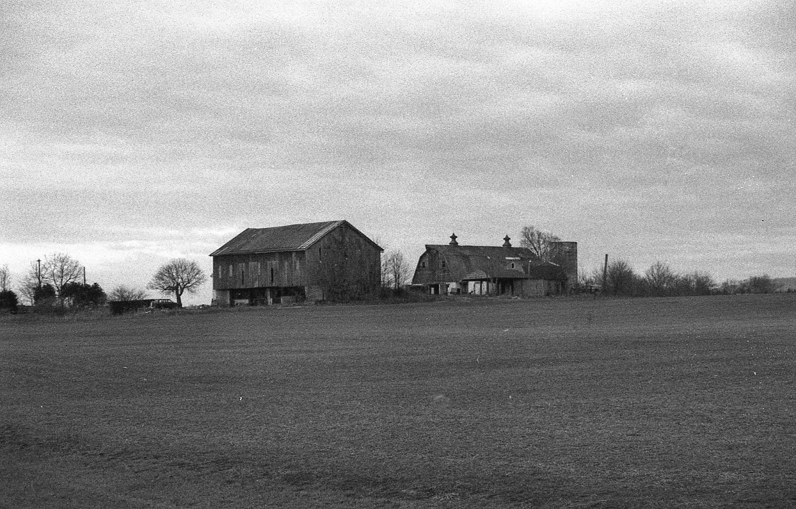 A Quirky Guy with a Camera: Overshadowed Overachiever: The Minolta Maxxum 5