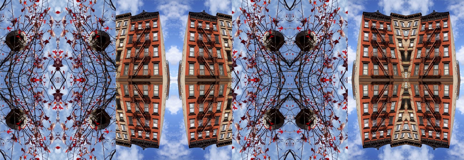 Mafalda Silva - fine art: Dualistic Perspective