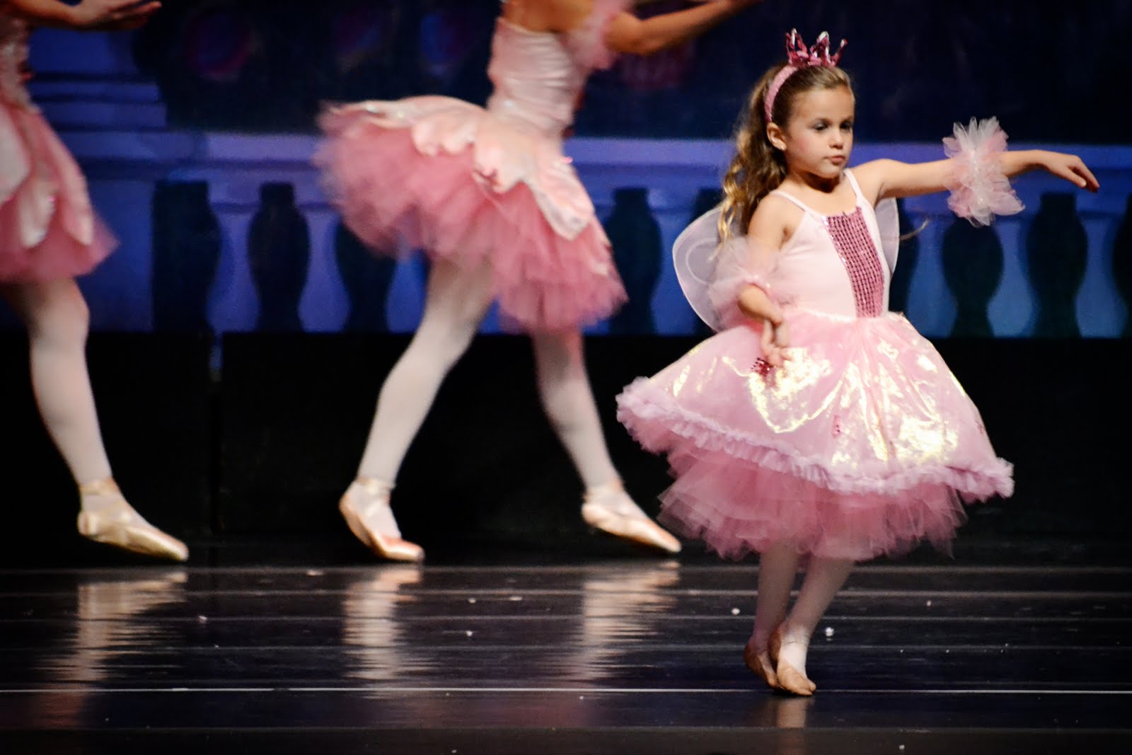 the Nutcracker | A Small Snippet