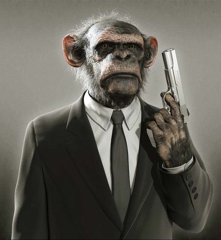 Funny Monkeys With Guns-Monkeys Holding Guns | Funny Collection World